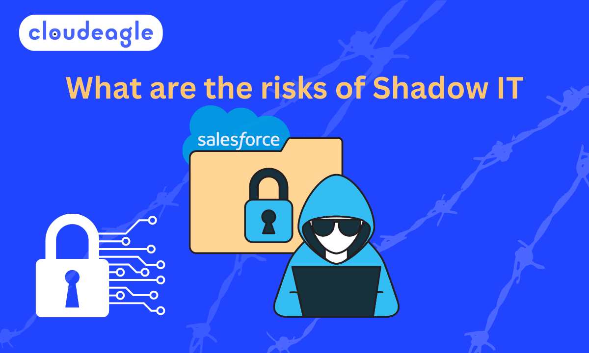What Are the Risks of Shadow IT? | CloudEagle